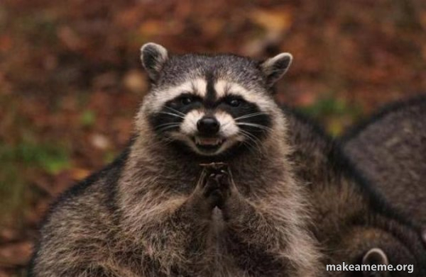 - Evil Plotting Raccoon Meme Generator