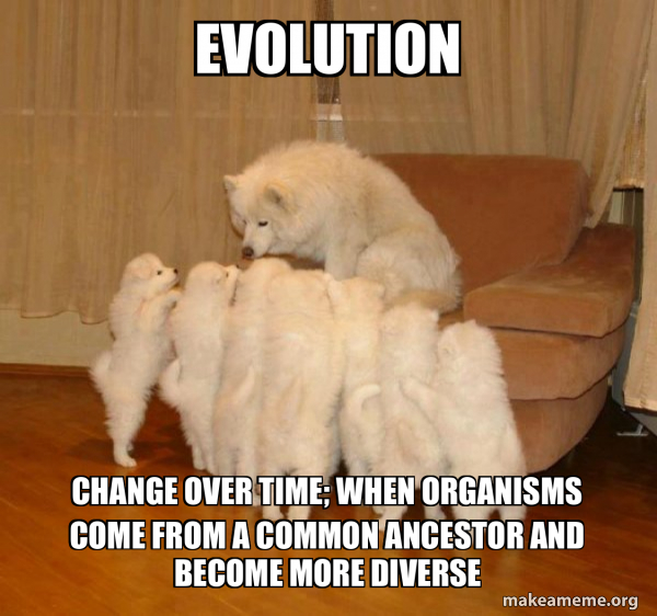 Evolution Change over time; when organisms come from a common ancestor ...