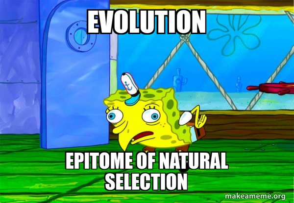 Evolution Epitome of natural selection - Mocking SpongeBob Meme Generator