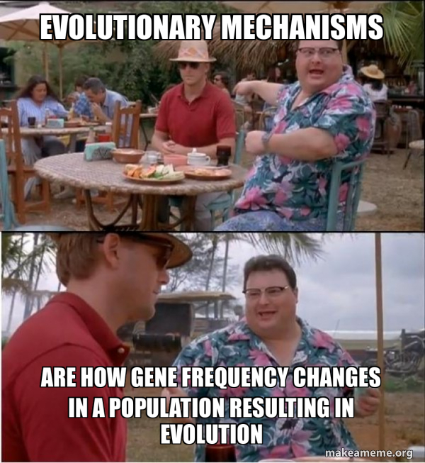 Evolutionary Mechanisms are how gene frequency changes in a population ...