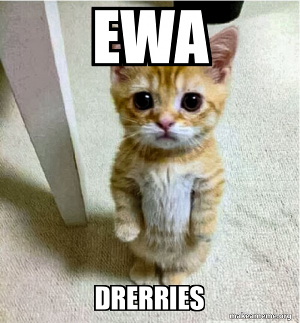 Ewa Memes