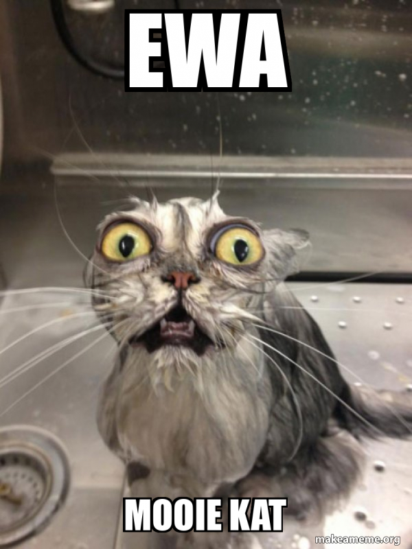 Ewa Mooie kat - Cat bath Meme Generator