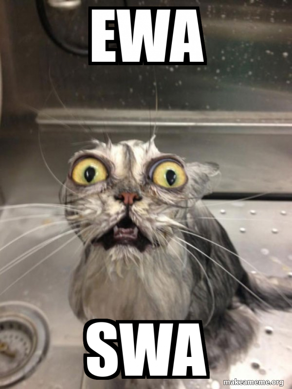 ewa swa - Cat bath Meme Generator