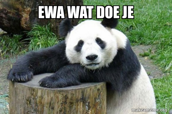 ewa wat doe je - Confession Panda Meme Generator