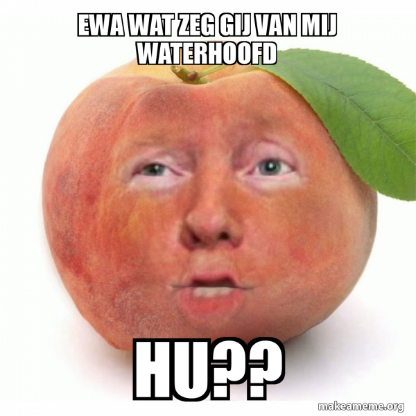 Ewa wat zeg gij van mij waterhoofd Hu?? - Impeached Donald Trump Meme ...