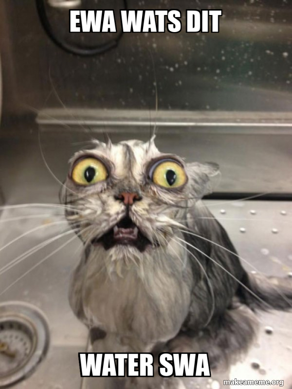 ewa wats dit water SWA - Cat bath Meme Generator