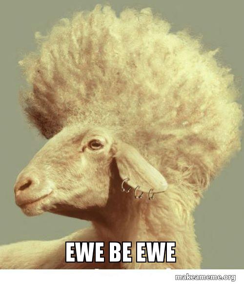 Ewe be Ewe Meme Generator