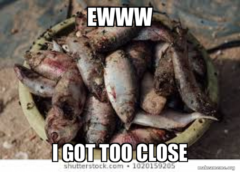 ewww i got too close Meme Generator