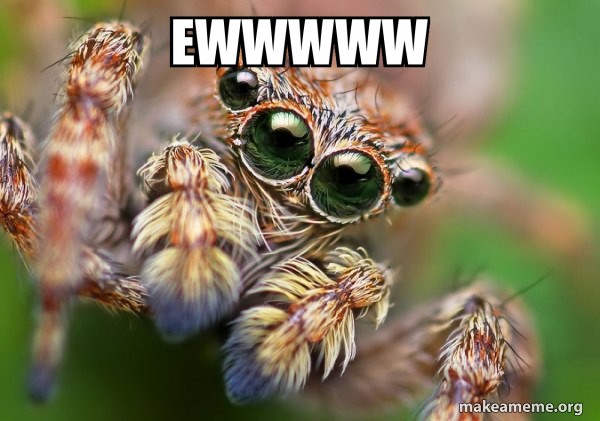 ewwwww - Hipster Spider Meme Generator
