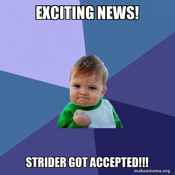 Exciting news! Strider got accepted!!! - Success Kid Meme Generator