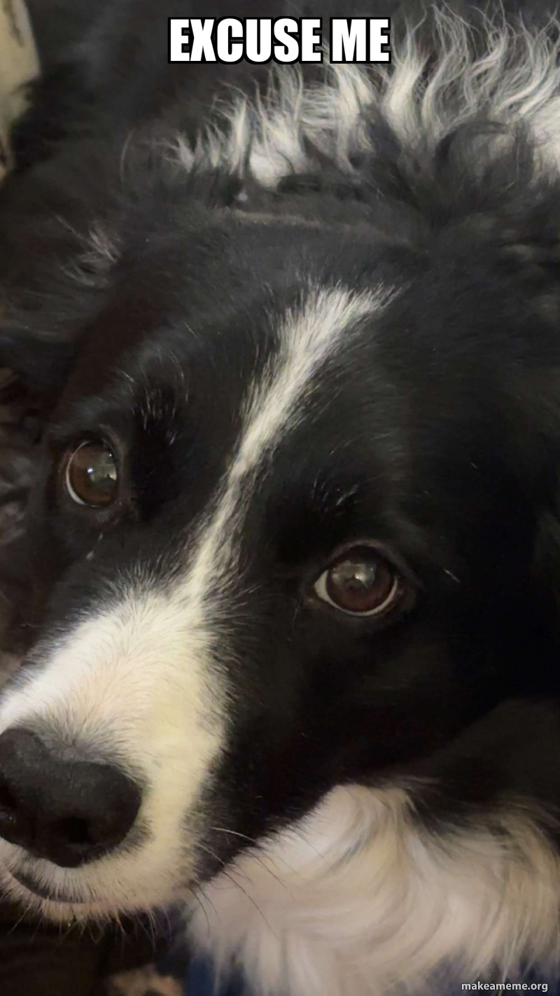 excuse me Meme Generator