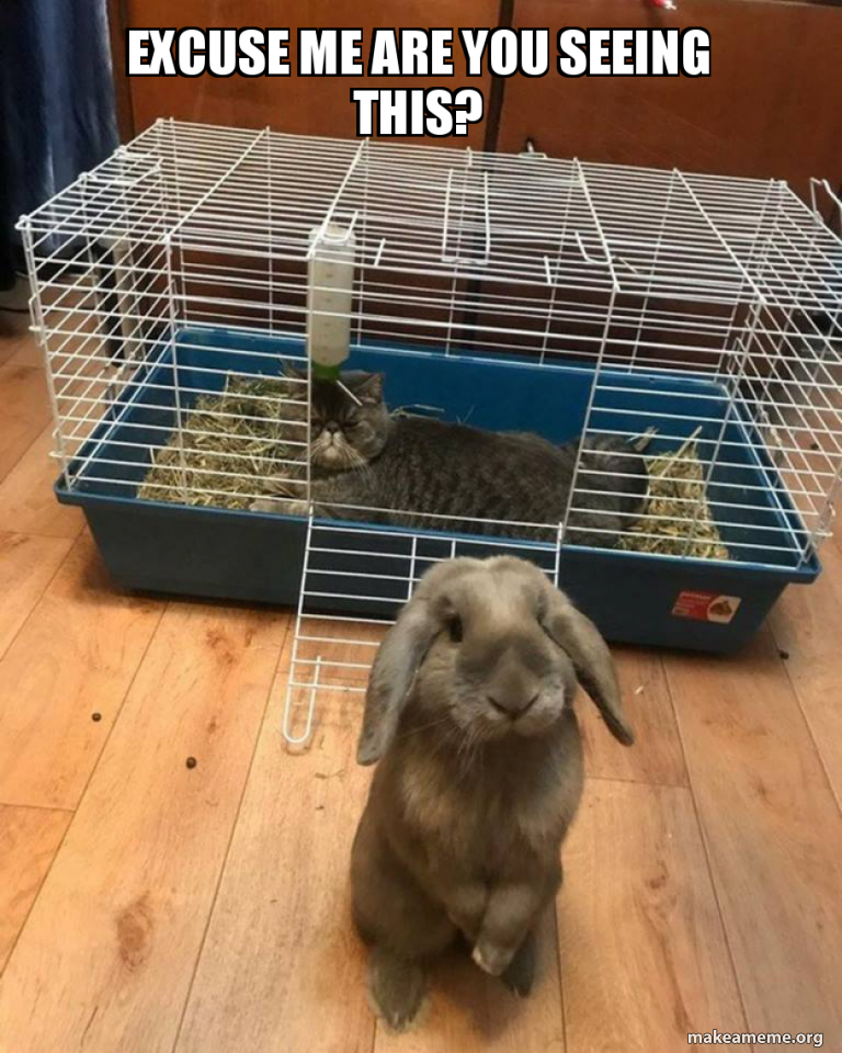 Excuse me are you seeing this? Meme Generator