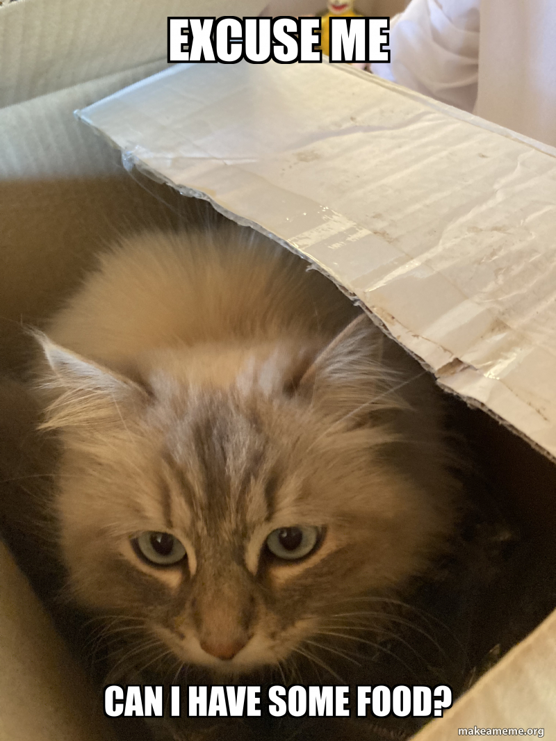 Excuse me Can i have some food? Meme Generator