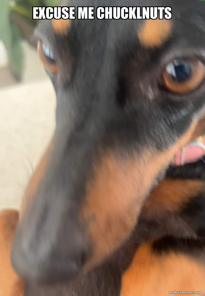 Excuse me chucklnuts Meme Generator