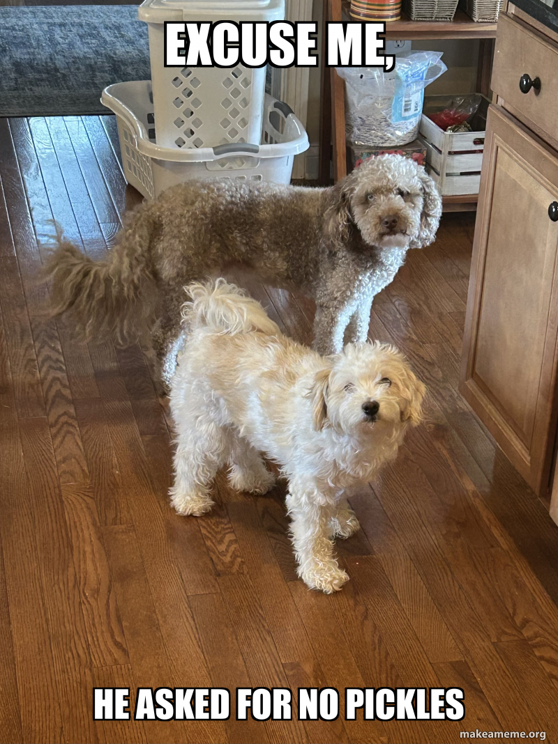 Excuse me, He asked for No pickles Meme Generator