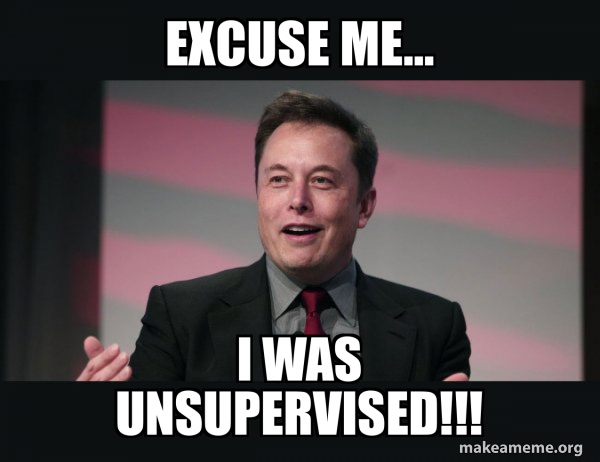 Excuse me... I was unsupervised!!! - Elon Musk Meme Generator