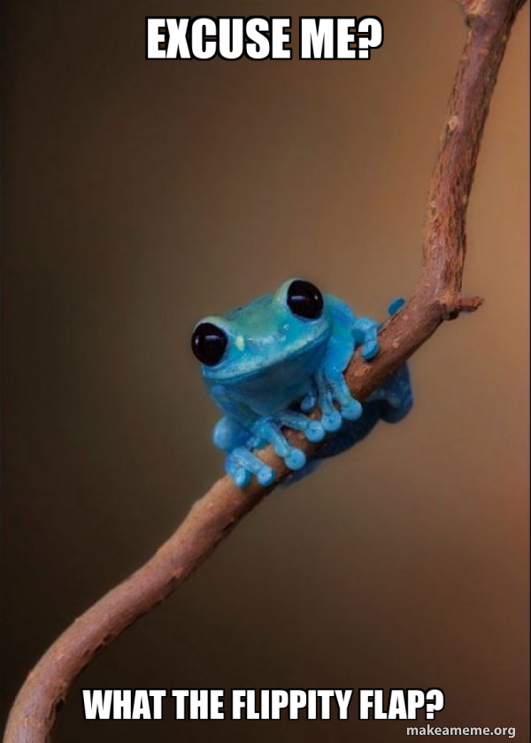 Excuse me? What the flippity flap? - Small Fact Frog Meme Generator
