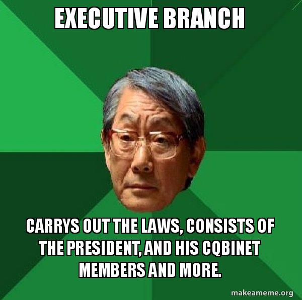 Executive Branch Carrys out the laws, consists of the president, and ...