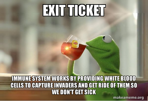 exit ticket immune system works by providing white blood cells to ...