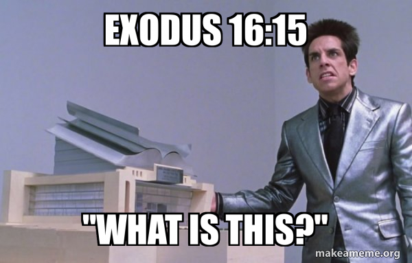 Exodus 16:15 "WHAT IS THIS?" - Center for Ants (Zoolander) Meme Generator