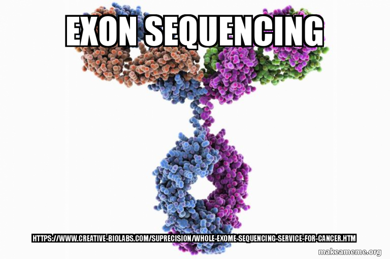 exon sequencing https://www.creative-biolabs.com/suprecision/whole ...