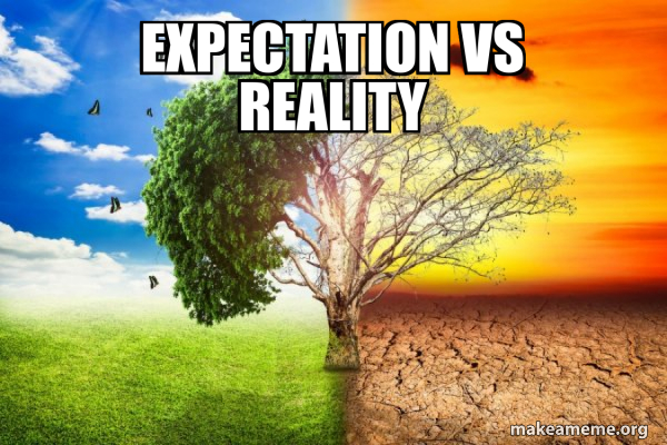 expectation vs Reality - Climate Change / Global Warming Meme Generator