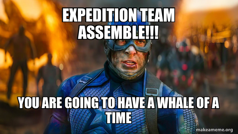 EXPEDITION TEAM ASSEMBLE!!! YOU ARE GOING TO HAVE A WHALE OF A TIME ...