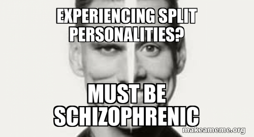 Experiencing Split personalities? must be schizophrenic Meme Generator