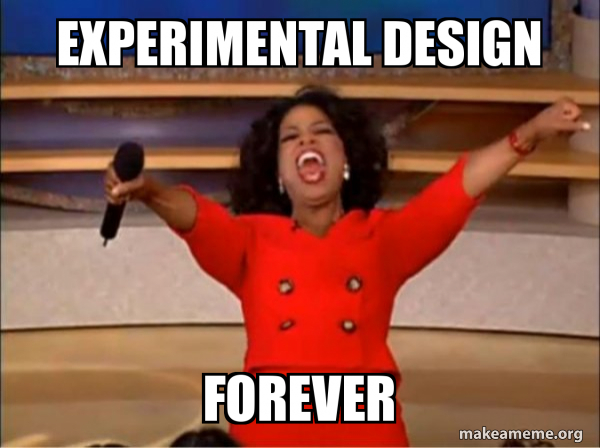 Experimental Design Meme Meme Generator For Econ Papers – Economist