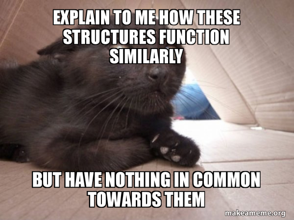 Explain to me how these structures function similarly but have nothing ...