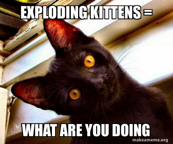 exploding kittens = what are you doing - Overly Attached Cat Meme Generator