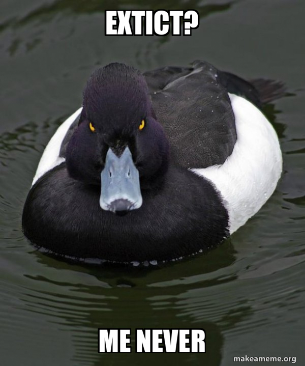 EXTICT? ME NEVER - Revenge Duck ( Angry Advice Duck ) Meme Generator