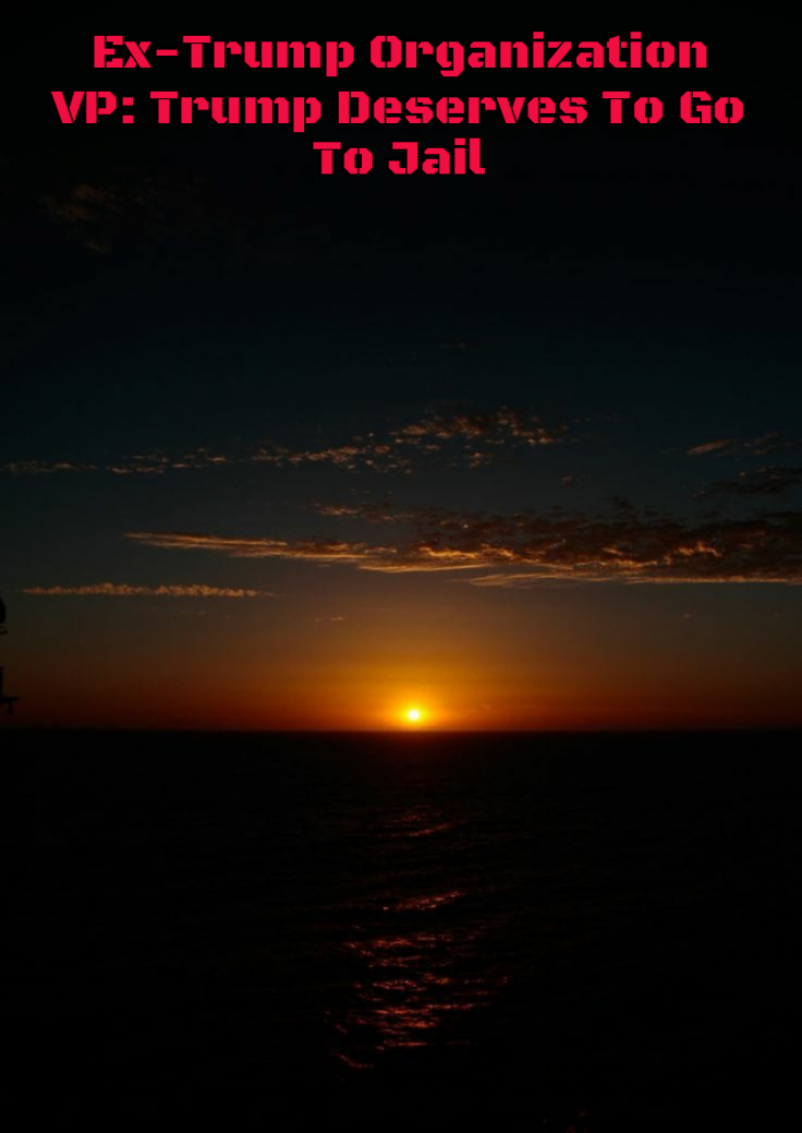 Ex-Trump Organization VP: Trump Deserves To Go To Jail Meme Generator