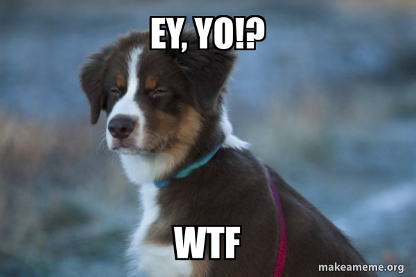 Ey, yo!? WTF - Unsure Dog Meme Generator