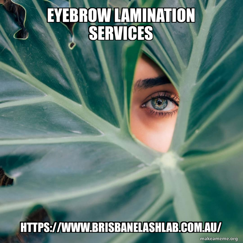 eyebrow lamination services https://www.brisbanelashlab.com.au/ Meme ...