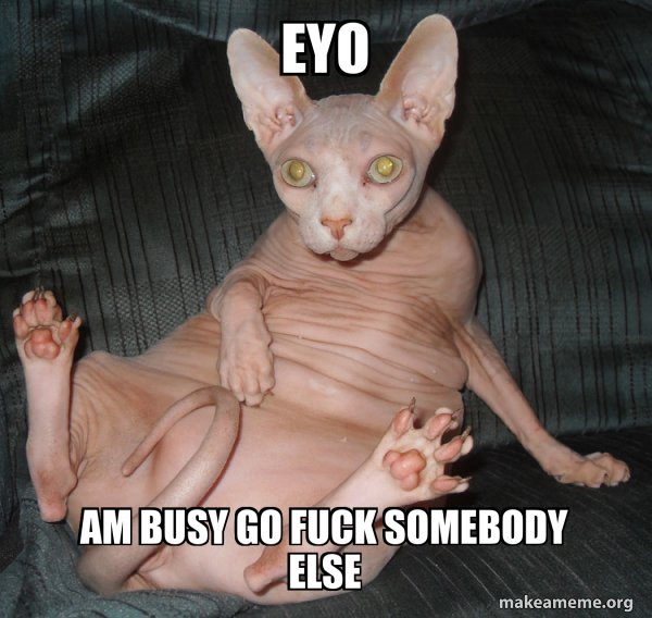 EYO AM BUSY GO FUCK SOMEBODY ELSE - Hairless Cat Meme Generator