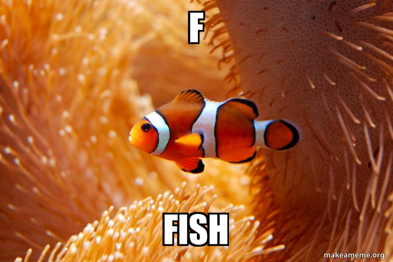 F Fish Meme Generator