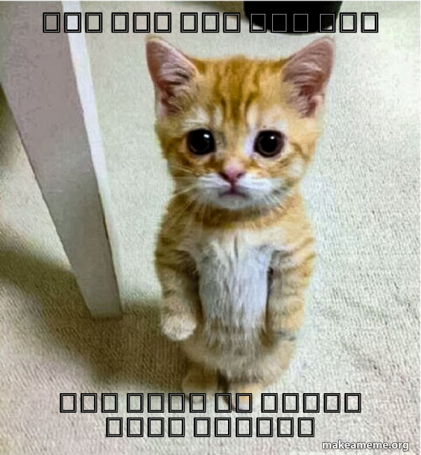 আমি যখন কোন ভুল করি ভুল করার পর আমাকে যেমন দেখায় - Cute Cat Standing ...