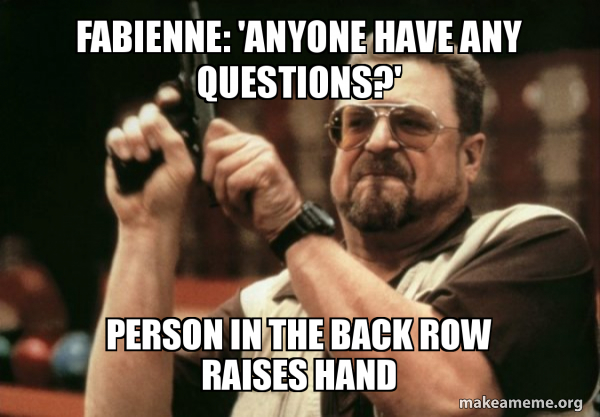 Fabienne: 'Anyone have any questions?' Person in the back row raises ...