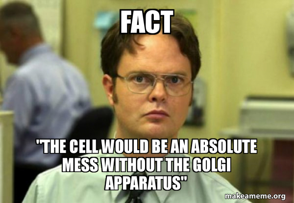 Fact "The cell would be an absolute mess without the Golgi apparatus ...