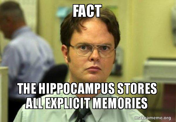 Dwight Fact Memes