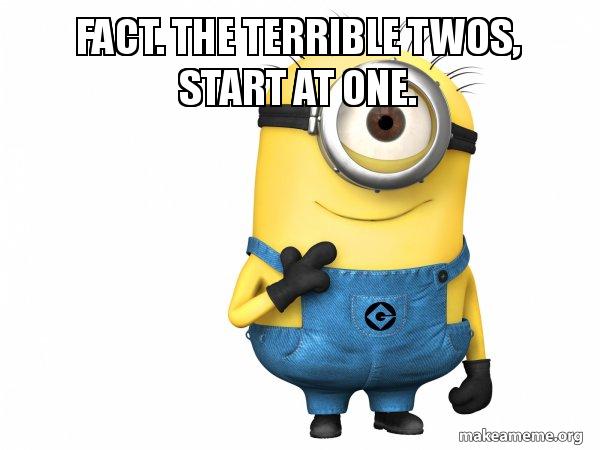 Fact. The terrible twos, start at one. - Thoughtful Minion Meme Generator