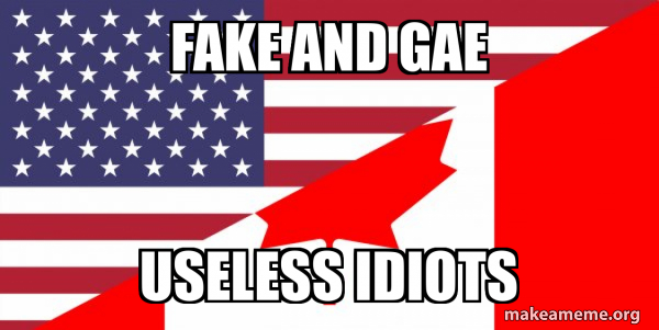 fake and gae useless idiots - USA vs Canada Meme Generator