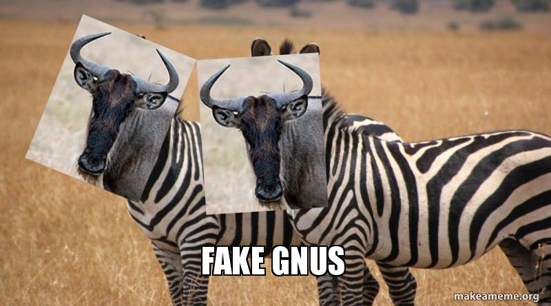 Fake Zoos: Egyptian zoo accused of painting donkeys to look like zebras ...