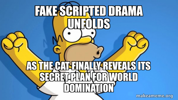 Fake scripted drama unfolds As the cat finally reveals its secret plan ...
