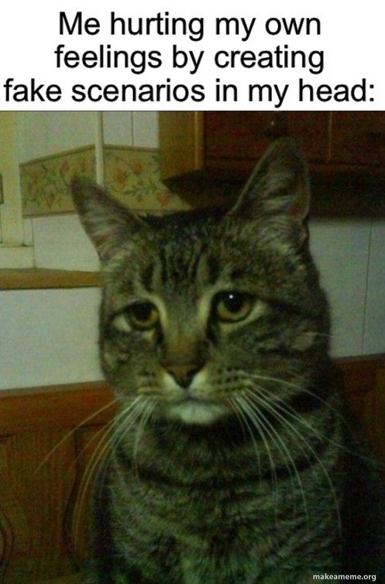 - Fakes... Meme Generator