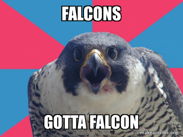 Falcons Gotta falcon - Millennial Falcon Meme Generator