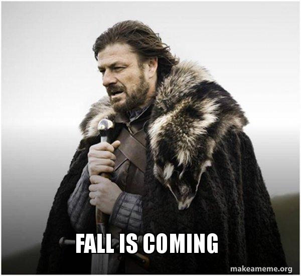 Fallback Strong Memes