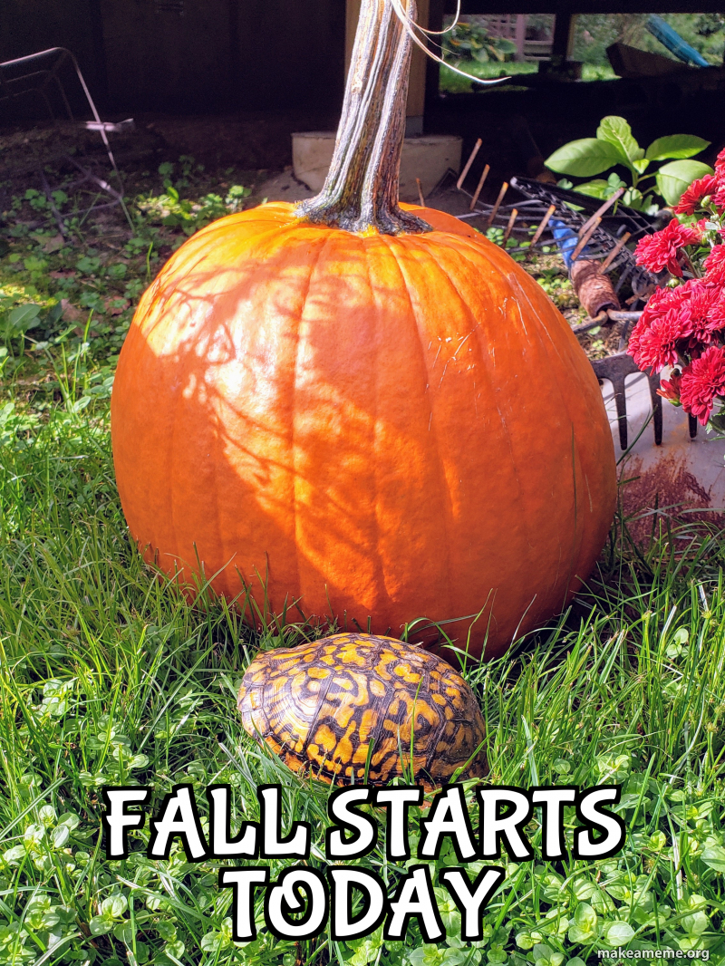 FALL STARTS TODAY Meme Generator