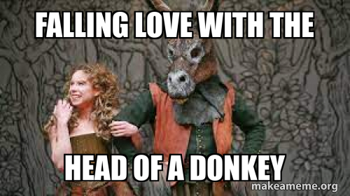 falling love with the head of a donkey Meme Generator